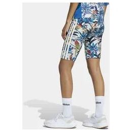 Shorts Adidas SPORTSWEAR "Adidas X FARM RIO BIKE", Damen, Gr. S, N-Gr, talc, st fade gold, cream wei&szlig;, normal, gr., Obermaterial: 93% Baumwolle, 7% Elasthan, Hosen Shorts