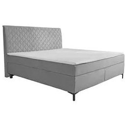 Boxspringbett Alina "Petro", grau (grau dmo, dmk 59), B:162cm L:215cm, Samt DMO (100% Polyester);Samt DMK (100% Polyester), Komplettbetten, Boxspringbett, inklusive Matratze und Topper, in diversen Ausf&uuml;hrungen