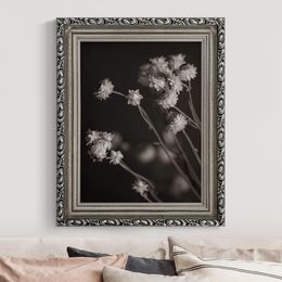Bilderwelten Leinwandbild mit Barockrahmen G&auml;nsebl&uuml;mchen Studie