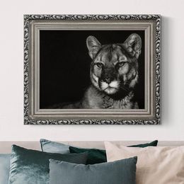 Bilderwelten Leinwandbild mit Barockrahmen Puma vor Schwarz