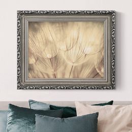 Bilderwelten Leinwandbild mit Barockrahmen Pusteblumen Nahaufnahme in wohnlicher Sepia T&ouml;nung