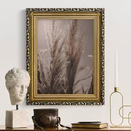 Bilderwelten Bild mit Barockrahmen Antik Tropisch Barock braun - Pampasgras im Sp&auml;therbst - Gr&auml;ser Wohnzimmer Schlafzimmer