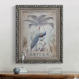 Bilderwelten Leinwandbild mit Barockrahmen Shabby Chic Collage - Pfau