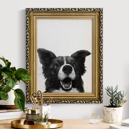 Bilderwelten Bild mit Barockrahmen Antik Tiere modern Aquarell schwarz weiss - Illustration Hund Border Collie Schwarz Wei&szlig; Malerei - Hund Jugendzimmer