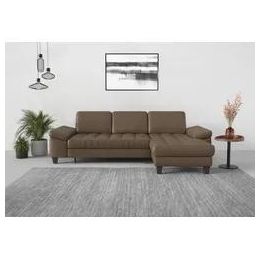 Sit & More Ecksofa SIT & MORE "Westham L-Form", braun (coffee), B:275cm H:88cm T:172cm, 100% Polyester, Sofas, Ecksofa, Recamiere, mit oder ohne Bettfunktion, Bettkasten, F&uuml;&szlig;e wengefarben