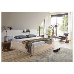 Polsterbett "Texel", beige (sand), B:186cm H:34cm L:206cm, Bezug Bett: Veloursstoff 100% Polyester oder Microfaser (100% Polyester);Bonnell-Federkernmatratze: 51% Polypropylen, 39% Polyester und 10% Baumwolle;Kaltschaummatratze: 100% Polyester, Bezug abnehm- und waschbar bis 60C;Kissenbezug: 100% Polyester, F&uuml;llung : 100% Polyester (Hohlfaser), Westfalia Schlafkomfort, Betten, Polsterbett, Standar