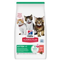 Hill's Hill's Science Plan Trockenfutter Kitten, Lachs 7 kg