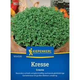 Kiepenkerl Kresse 'Cresto' Lieferform: Saatgut