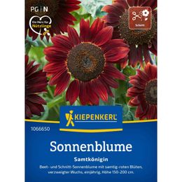 Kiepenkerl Sonnenblume 'Samtk&ouml;nigin' Lieferform: Portionssaatgut
