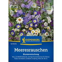 Kiepenkerl Balkonkasten-Blumenmischung 'Meeresrauschen' Lieferform: Portionssaatgut