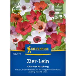 Kiepenkerl Roter Lein 'Charmer' Lieferform: Portionssaatgut