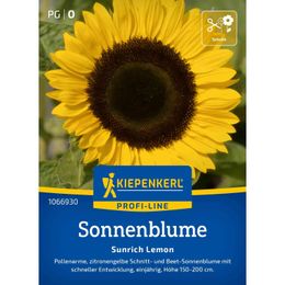 Kiepenkerl Sonnenblume 'Sunrich Lemon' Lieferform: Portionssaatgut