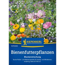 Kiepenkerl Bienenfutterpflanzen 'Mischung einj&auml;hriger Arten' Lieferform: Portionssaatgut