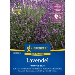 Kiepenkerl Duft-Lavendel 'Hidcote Blue Strain' Lieferform: Portionssaatgut