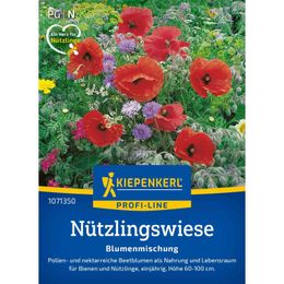 Kiepenkerl N&uuml;tzlingswiese 'Mischung einj&auml;hriger Arten' Lieferform: Portionssaatgut
