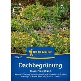 Kiepenkerl Dachbegr&uuml;nung 'Mischung' Lieferform: Portionssaatgut