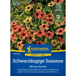 Kiepenkerl Schwarz&auml;ugige Susanne 'African Sunset' Lieferform: Portionssaatgut