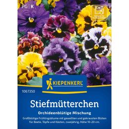 Kiepenkerl Stiefm&uuml;tterchen 'Orchideenbl&uuml;tige Mischung' Lieferform: Portionssaatgut