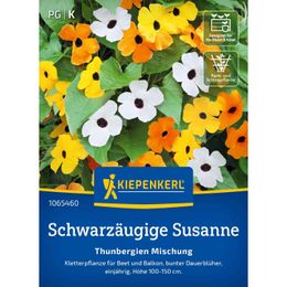 Kiepenkerl Schwarz&auml;ugige Susanne 'Mischung' Lieferform: Portionssaatgut