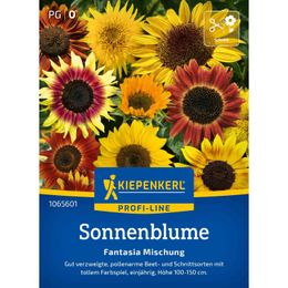Kiepenkerl Sonnenblume 'Fantasia-Mix' Lieferform: Portionssaatgut