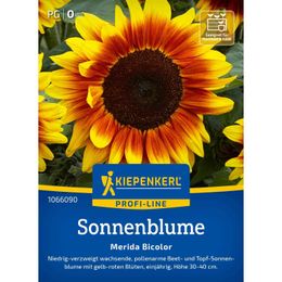 Kiepenkerl Sonnenblume 'Merida Bicolor' Lieferform: Portionssaatgut