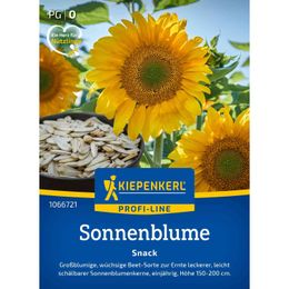 Kiepenkerl Sonnenblume 'Snack' Lieferform: Portionssaatgut