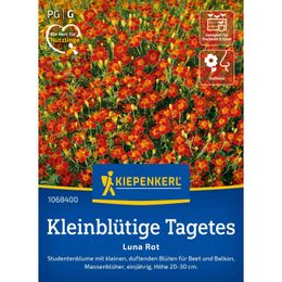 Kiepenkerl Tagetes 'Luna Rot' Lieferform: Portionssaatgut