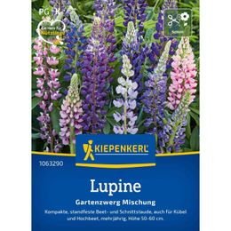 Kiepenkerl Lupinen 'Gartenzwerg' Lieferform: Portionssaatgut