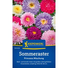Kiepenkerl Sommeraster 'Prinzess-Mischung' Lieferform: Portionssaatgut