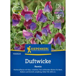 Kiepenkerl Wicke (Edelwicke) 'Ramia' Lieferform: Portionssaatgut