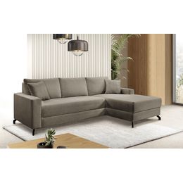 Ecksofa exxpo - SOFA FASHION "Quattro schlicht & zeitlos, bequem, L-Form, B/T: 247/162 cm", braun (latte), B:247cm H:85cm T:162cm, Sofas, Ecksofa, wahlw. Bettfunktion, Bettkasten. Bezug komplett Webvelours