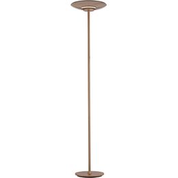 NEUHAUS PURE LED Stehlampe "PURE Moon", 1, &Oslash; 32cm H: 180cm, 1 Stk.bronzefarben, Wohnzimmer, Leuchten, Stufenloses dimmen per Touchdimmer, Rauchglas