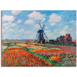 Leinwandbild Artland "Tulpenfelder in Holland, 1886", rot (farbe bild(er): rot), B:40cm H:30cm, Bilder, Leinwandbild, auf Holzrahmen gespannt
