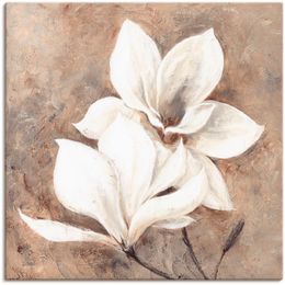 Wandbild Artland "Klassische Magnolien", beige (farbe bild(er): naturfarben), B:100cm H:100cm, Bilder, auf Holzrahmen gespannt