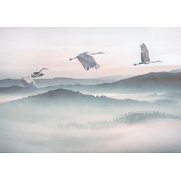 Vliestapete Komar "Digitaldruck Vlies - Mystic Cranes - Gr&ouml;&szlig;e 400 x 280 cm", blau (blau, wei&szlig;, grau), B:400m L:280m, Vlies, Tapeten, Wohnzimmer, Schlafzimmer
