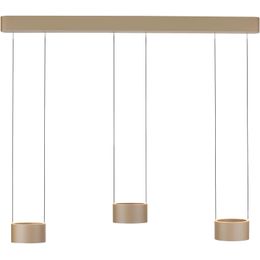 NEUHAUS PURE LED Pendelleuchte "PURE Clipse", 6, &Oslash; 15cm H: 40cm, 1 Stk.bronzefarben, Leuchten, Comfort Lift, CCT, dimmbar &uuml;ber Fernbedienung