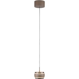 NEUHAUS PURE LED Pendelleuchte "PURE Falling Rings", 1, H: 80cm, 1 Stk.bronzefarben, schwarz chrome, Leuchten, Comfort Lift, CCT, dimmbar,