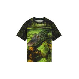 WE Fashion T-Shirt Jungen Gr&ouml;&szlig;e 122/128 braun / hellgr&uuml;n / dunkelgr&uuml;n / schwarz