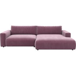 Ecksofa Musterring "LUCIA L-Form", rosa (rosewood samt), B:296cm H:81cm T:190cm, Flachgewebe VALMONT (60% Baumwolle/40% Leinen);Leder PURO, pigmentiertes Leder;Microfaser CRONA (100% Polyester);Flachgewebe FLORIS (100% Polyester);Leder BAX, pigmentiertes Leder, Sofas, Ecksofa