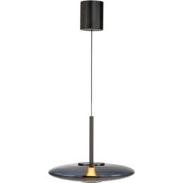 NEUHAUS PURE LED Pendelleuchte "PURE E-Vitrum", platinfarben, 1, &Oslash; 45cm H: 60cm, 1 Stk., Leuchten, e-LIFT-Funktion, CCT, dimmbar &uuml;ber Fernbed&iacute;enung, LED Pendelleuchte