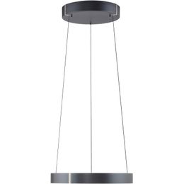 NEUHAUS PURE LED Pendelleuchte "PURE E-Clipse", 2, &Oslash; 50cm H: 40cm, 1 Stk.mystic grau, Leuchten, e-LIFT-Funktion, CCT, dimmbar &uuml;ber Fernbed&iacute;enung