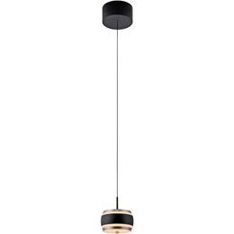 NEUHAUS PURE LED Pendelleuchte "PURE Falling Rings", 1, H: 80cm, 1 Stk.schwarz pearl, diamond, Leuchten, Comfort Lift, CCT, dimmbar, Fernbedienung,