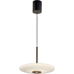 NEUHAUS PURE LED Pendelleuchte "PURE E-Vitrum", schwarz, metal braun, 1, &Oslash; 45cm H: 60cm, 1 Stk., Leuchten, e-LIFT-Funktion, CCT, dimmbar &uuml;ber Fernbed&iacute;enung, LED Pendelleuchte