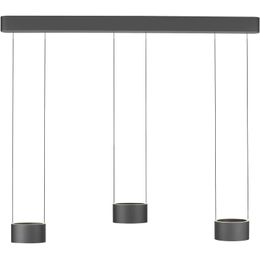 NEUHAUS PURE LED Pendelleuchte "PURE Clipse", 6, &Oslash; 15cm H: 40cm, 1 Stk.mystic grau, Leuchten, Comfort Lift, CCT, dimmbar &uuml;ber Fernbedienung