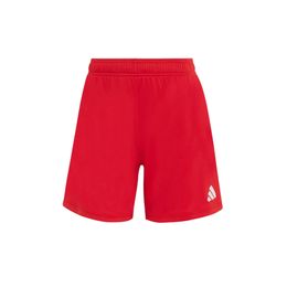 adidas Performance Sportshorts 'ENT26' Damen Gr&ouml;&szlig;e XS/S rot / wei&szlig;
