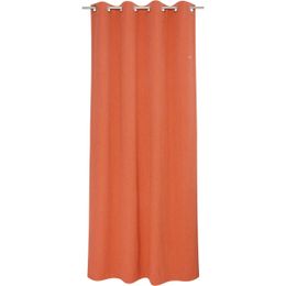 Vorhang Tom Tailor HOME, B:140cm H:250cm, orange, Polyester, Wohnzimmer, Gardinen, "Dove Signature", blickdicht