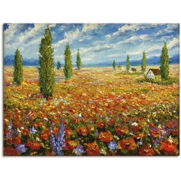 Leinwandbild Artland, B:80cm H:60cm, rot, Leinwand, Wohnzimmer, Bilder, "Mohnblumenwiese", auf Holzrahmen gespannt