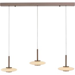 NEUHAUS PURE LED Pendelleuchte "PURE Vitrum", 3, &Oslash; 22cm H: 80cm, 1 Stk.schwarz, metal braun, Leuchten, Comfort Lift, dimmf&auml;hig &uuml;ber separaten