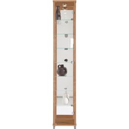 Fif M&ouml;bel Vitrine FIF M&Ouml;BEL, braun, Holzwerkstoff, Sicherheitsglas ESG, Wohnzimmer, Schr&auml;nke, "OPTIMA", Standvitrine/Glasvitrine 1x Glast&uuml;r,perfekt f&uuml;r