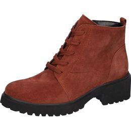 Waldl&auml;ufer WALDL&Auml;UFER Damen Schn&uuml;rboots "H-LUISE", Gr. 4,5, braun, Veloursleder, unifarben, Schuhe, Stiefelette, Blockabsatz, in bequemer Schuhweite G (= weit)